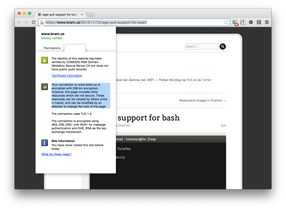 Migrating your WordPress website from HTTP to HTTPS – Bram.us